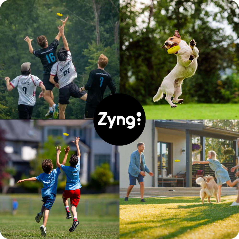 Zyng - Mini Flying Disc