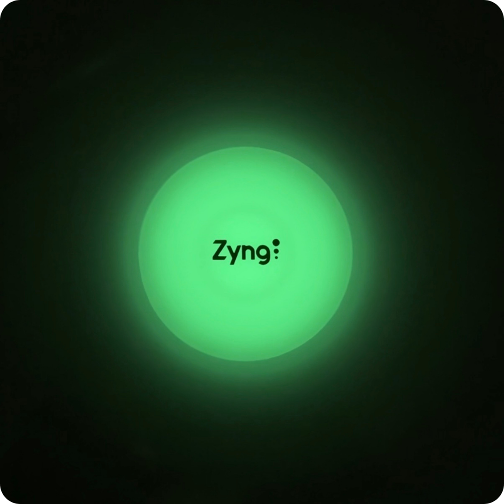 Zyng - Mini Flying Disc